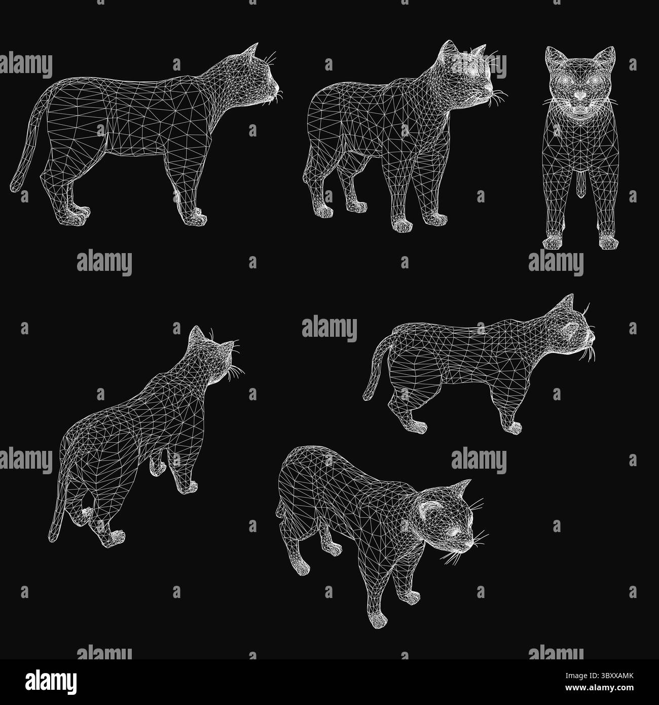 Unique symmetrical shapes Black and White Stock Photos & Images - Alamy