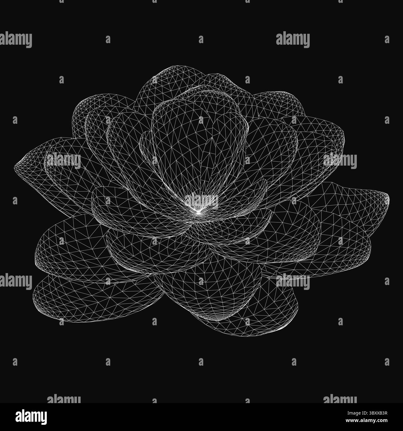 Lotus and flower details Black and White Stock Photos & Images - Alamy