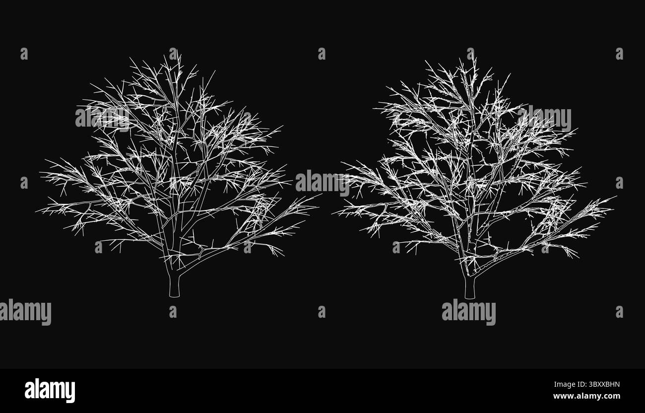 Leafless branch background Stock Vector Images - Alamy