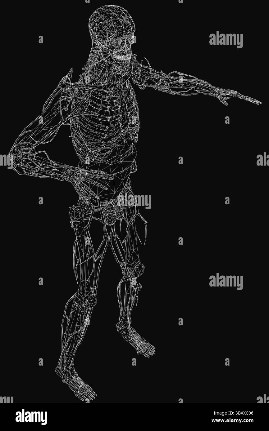 A 3D wireframe skeleton with outstretched arms stands against a black ...