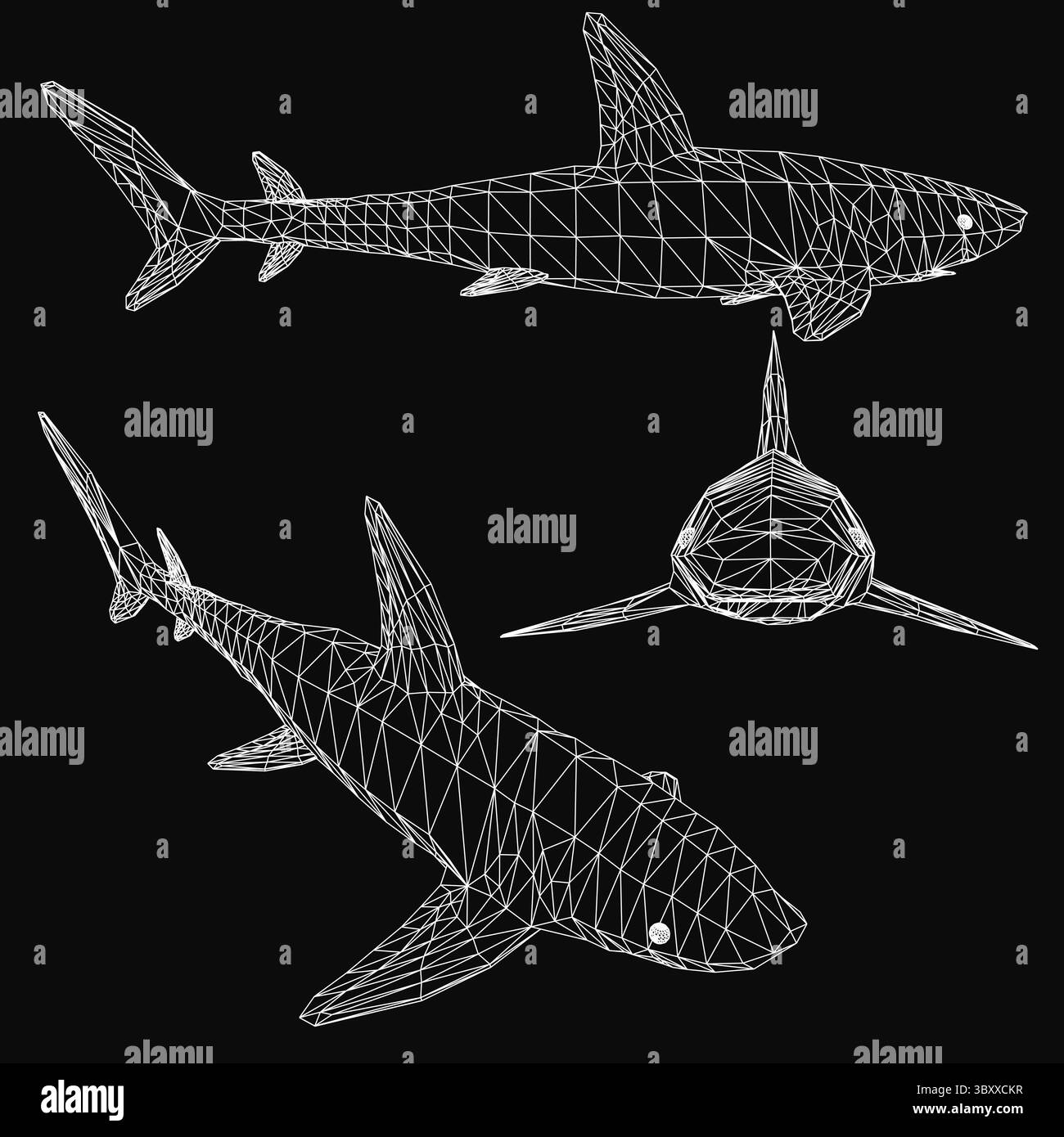 Model of a shark Stock Vector Images - Alamy