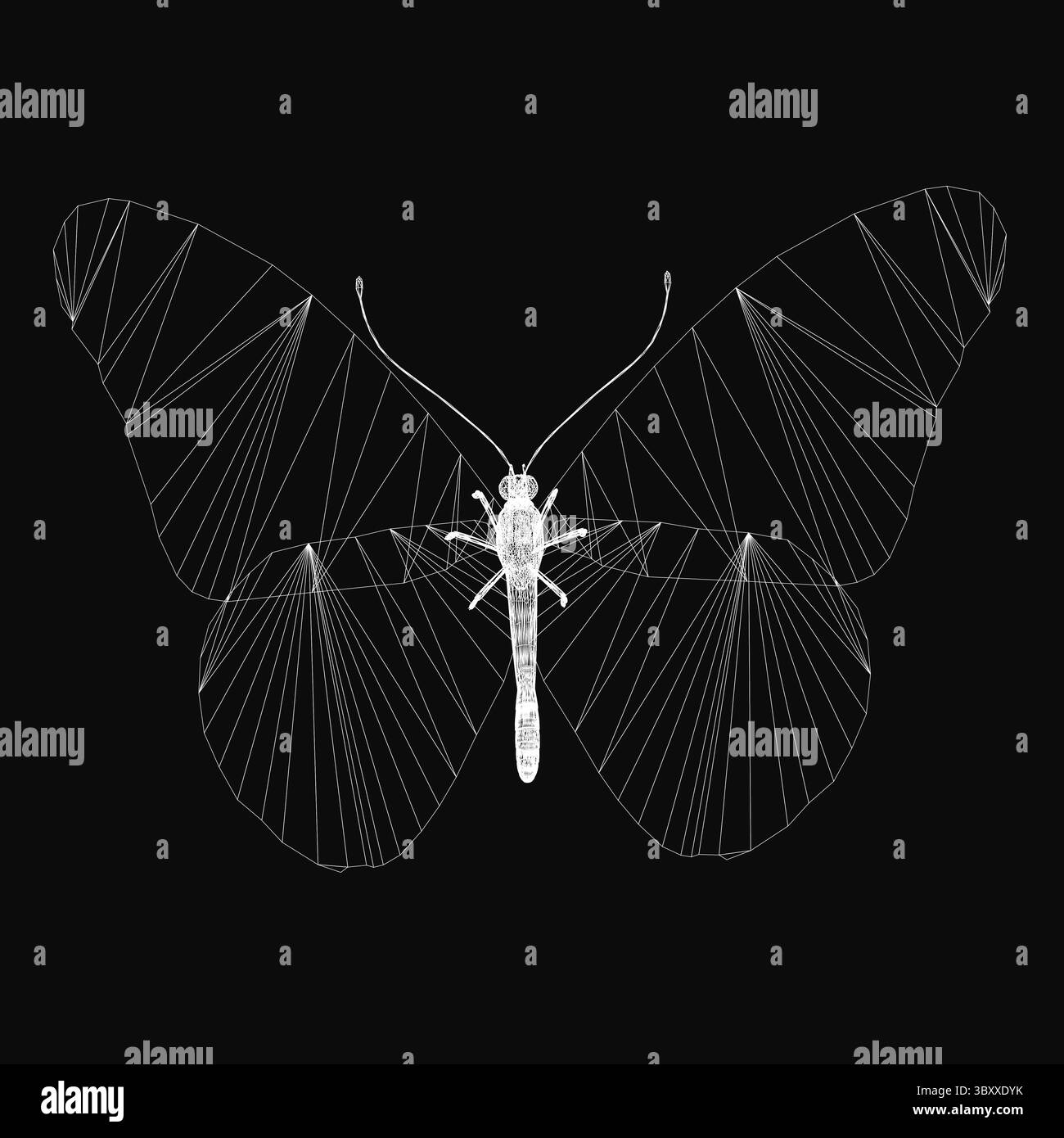 Detailed moth sketch Stock Vector Images - Alamy