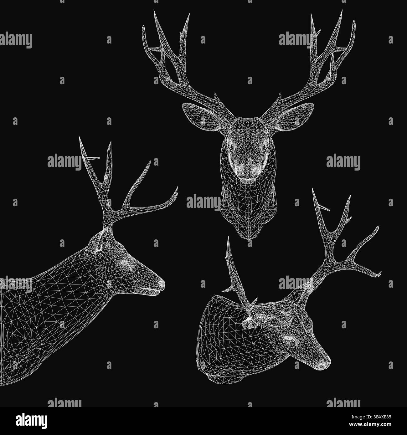 Antlered doe Black and White Stock Photos & Images - Alamy