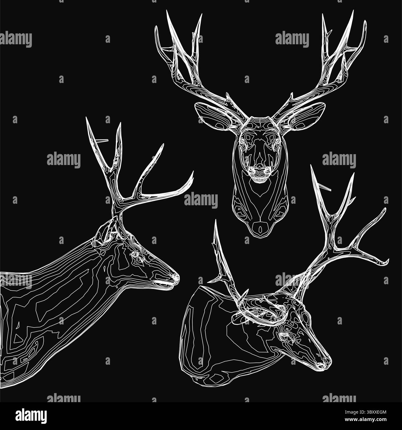 Three detailed deer heads with realistic antlers sketched on a black ...
