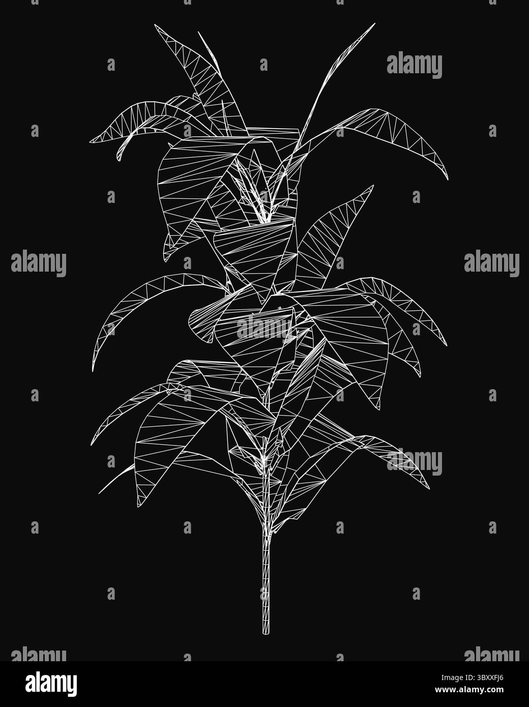 Pencil organic abstract shapes Black and White Stock Photos & Images ...