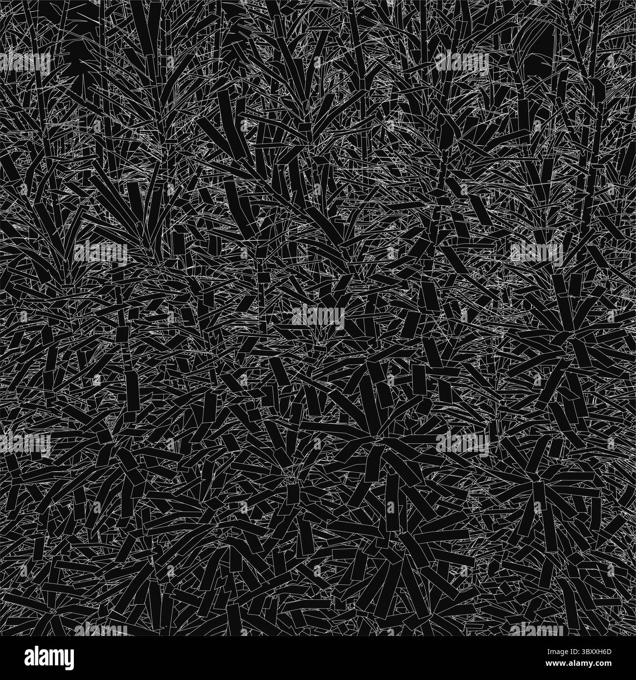 Forest photo Stock Vector Images - Alamy