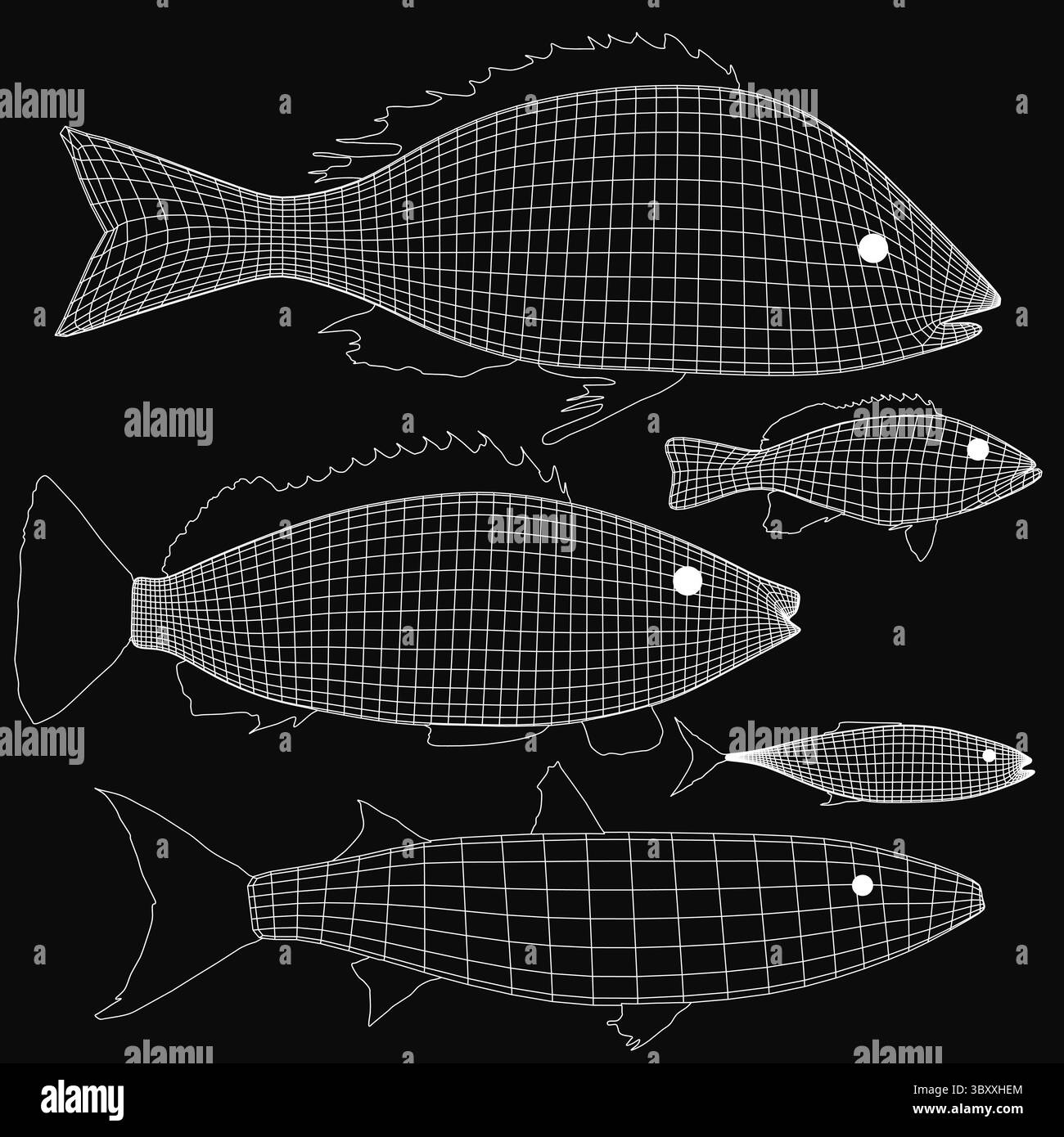 Arranged in a line Black and White Stock Photos & Images - Alamy