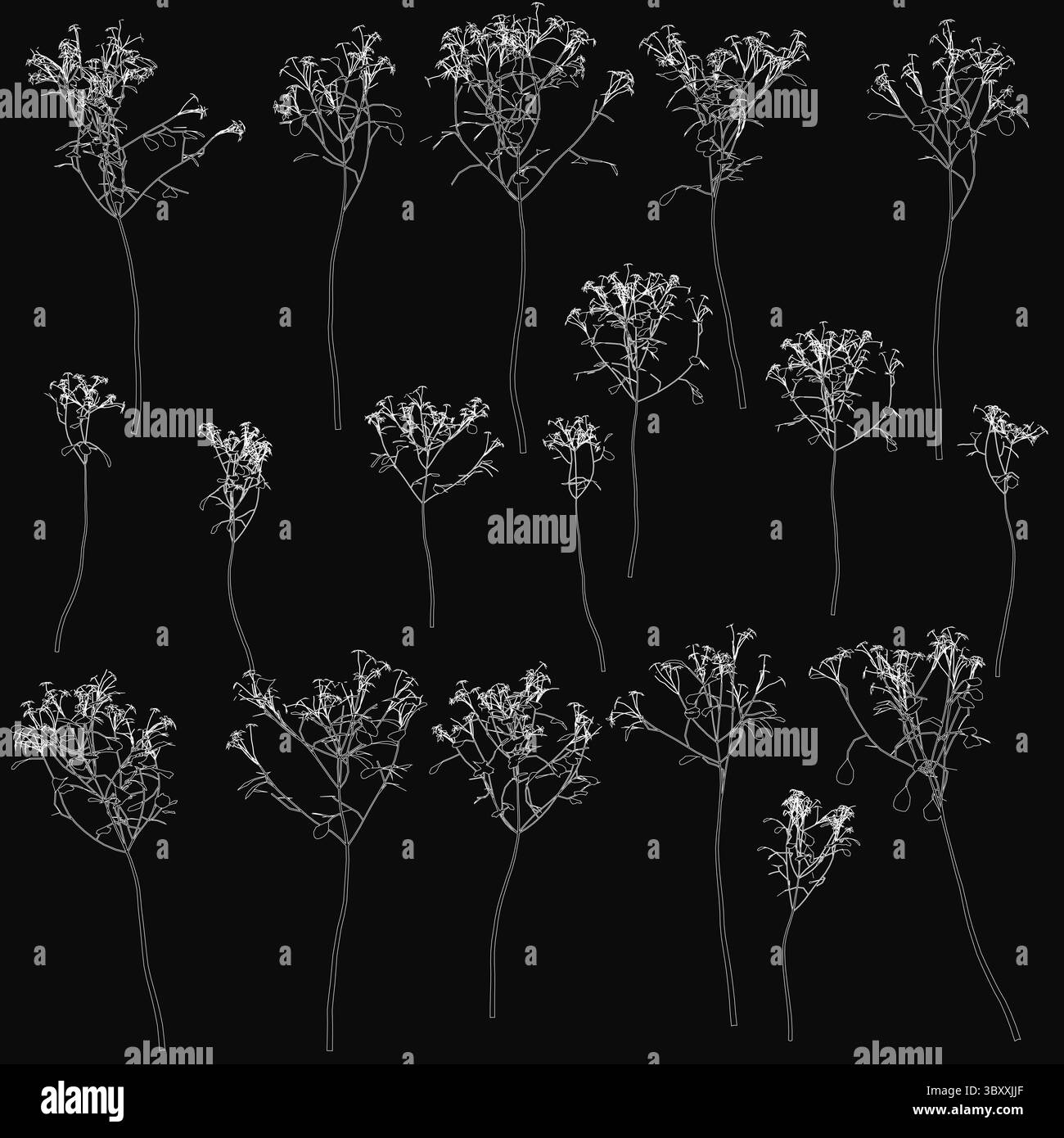 Showcasing elegant flowers Stock Vector Images - Alamy