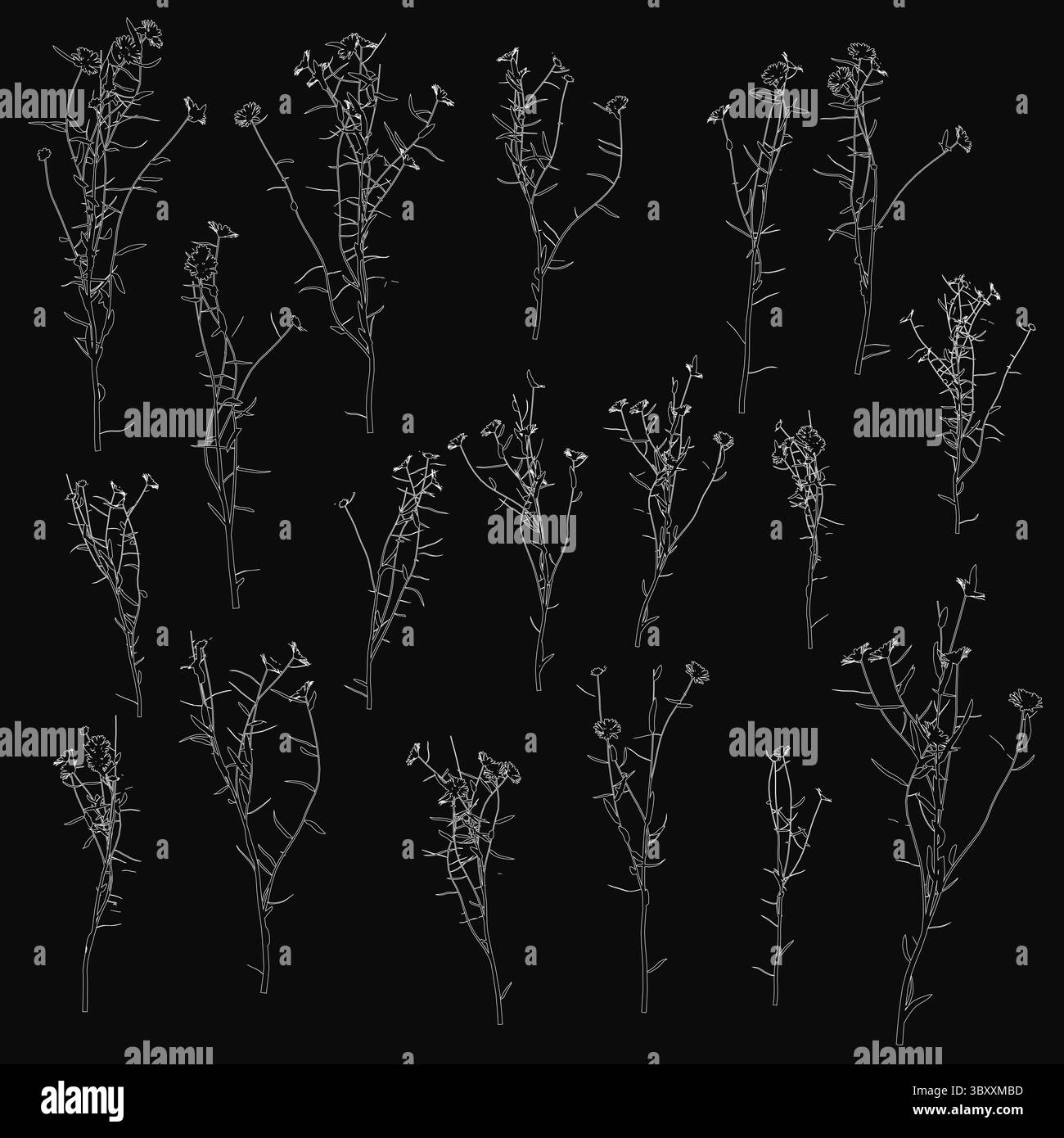 Fresh flowers in soft Stock Vector Images - Alamy