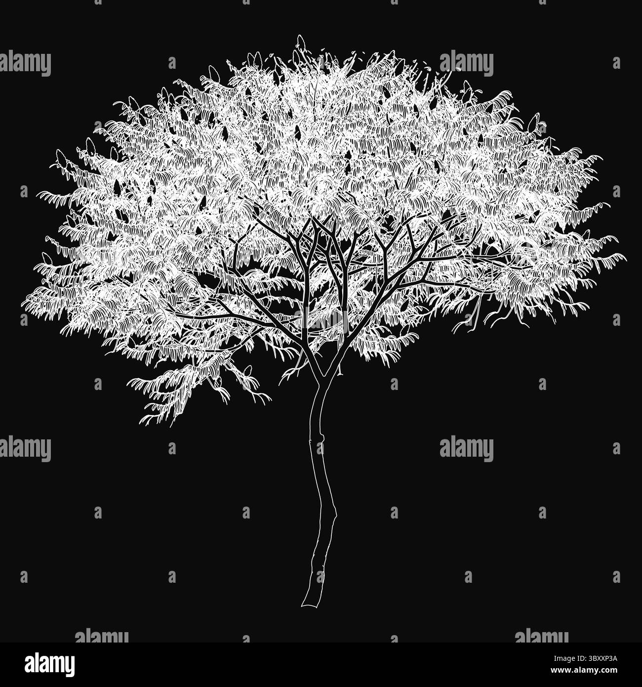 A detailed black and white contour drawing of a tree with intricate ...