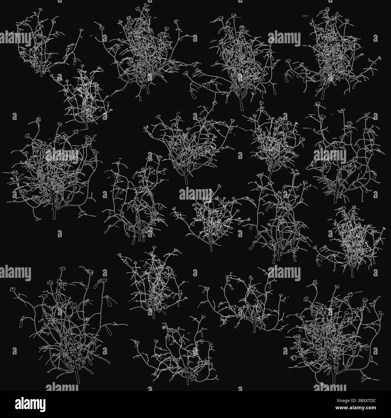 Plants unique aesthetic Stock Vector Images - Alamy