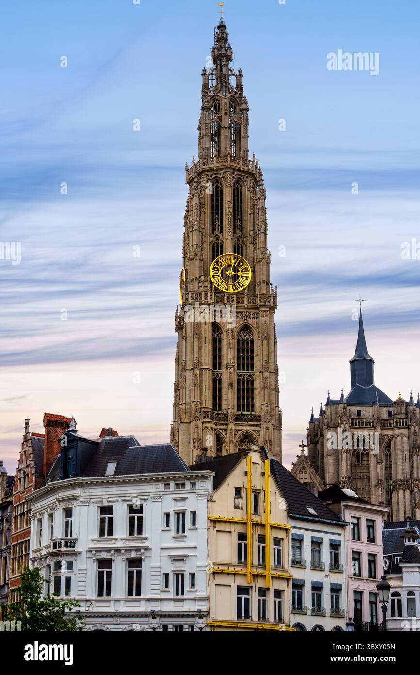 Antwerp Cathedral Tower Skyline Views Architectural Grandeur in ...