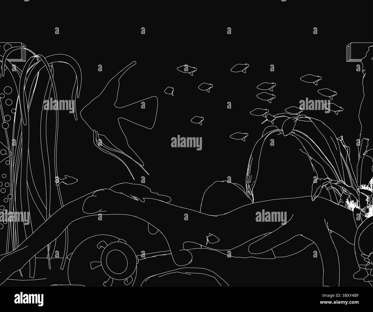 Minimalist vector illustration aquarium Black and White Stock Photos ...