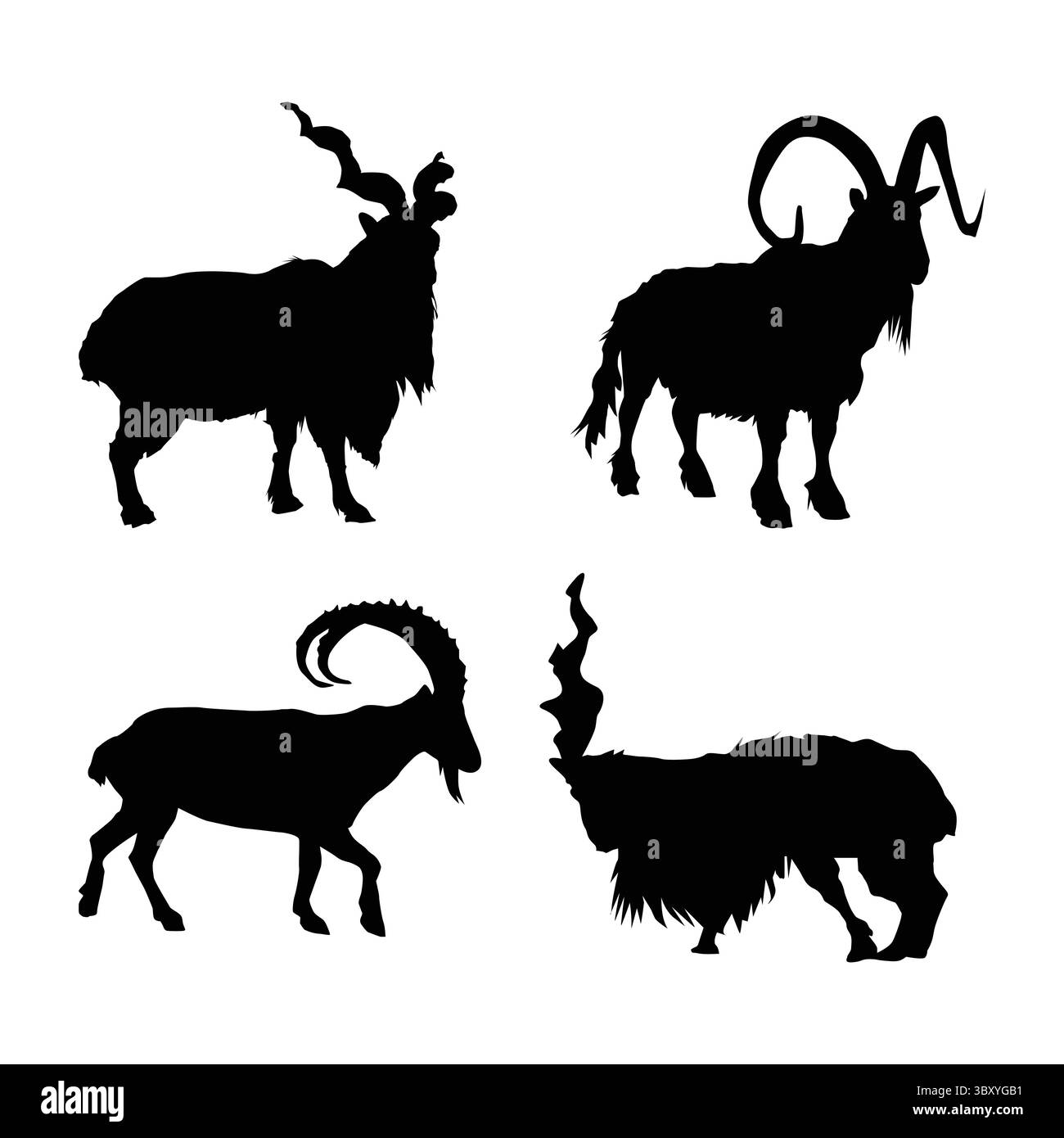 The markhor is the national animal of Pakistan 3 Stock Vector Image ...
