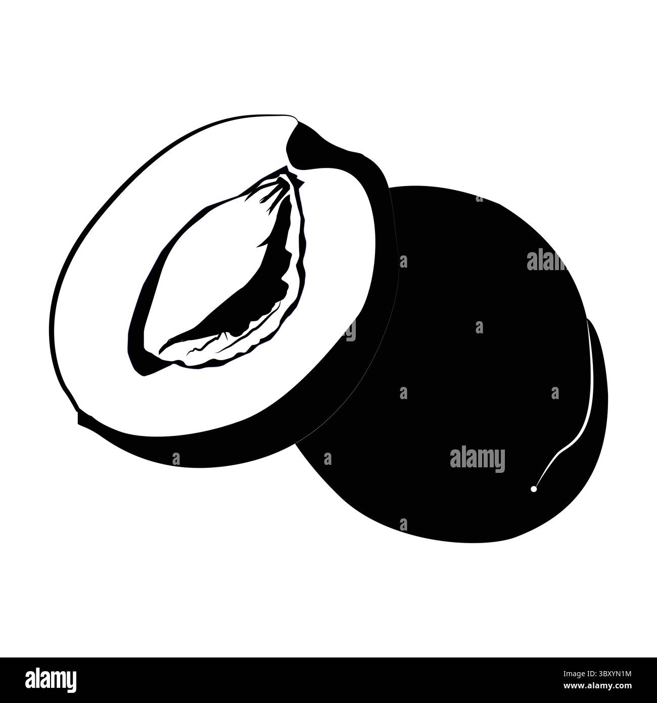Silhouette stamp of apricot fruit slice. Vector graphics illustration ...