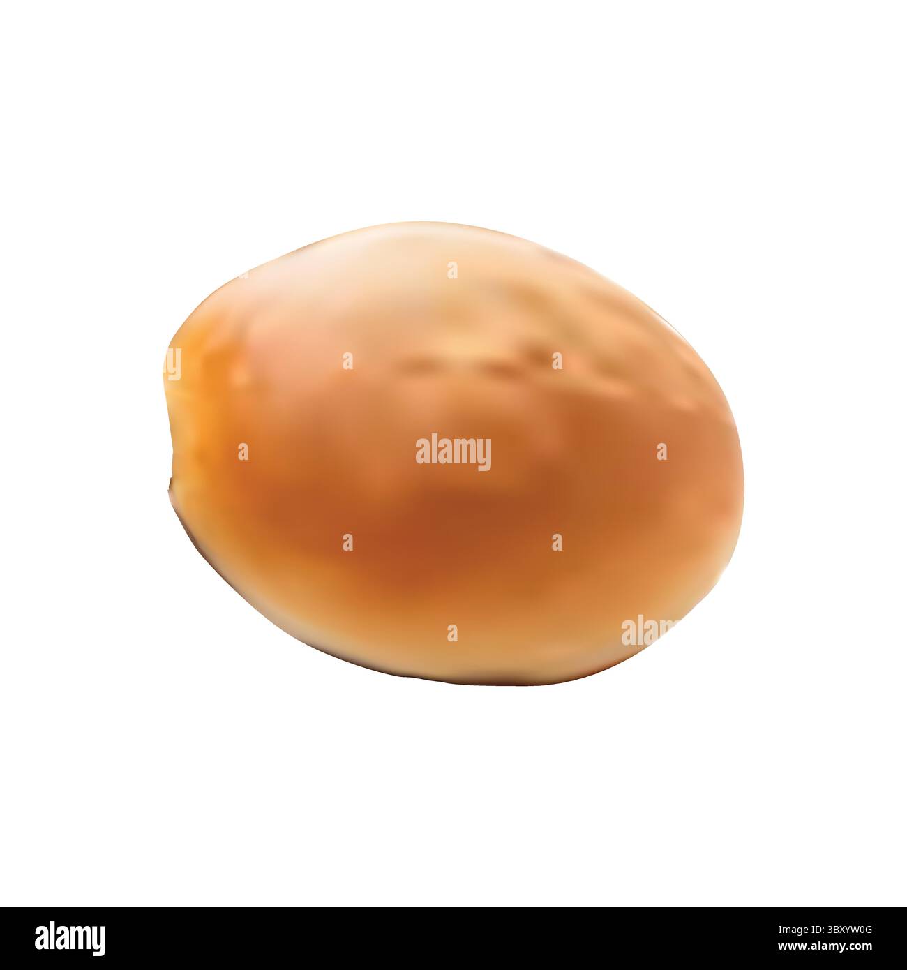 Burger bacon cheese on Stock Vector Images - Alamy