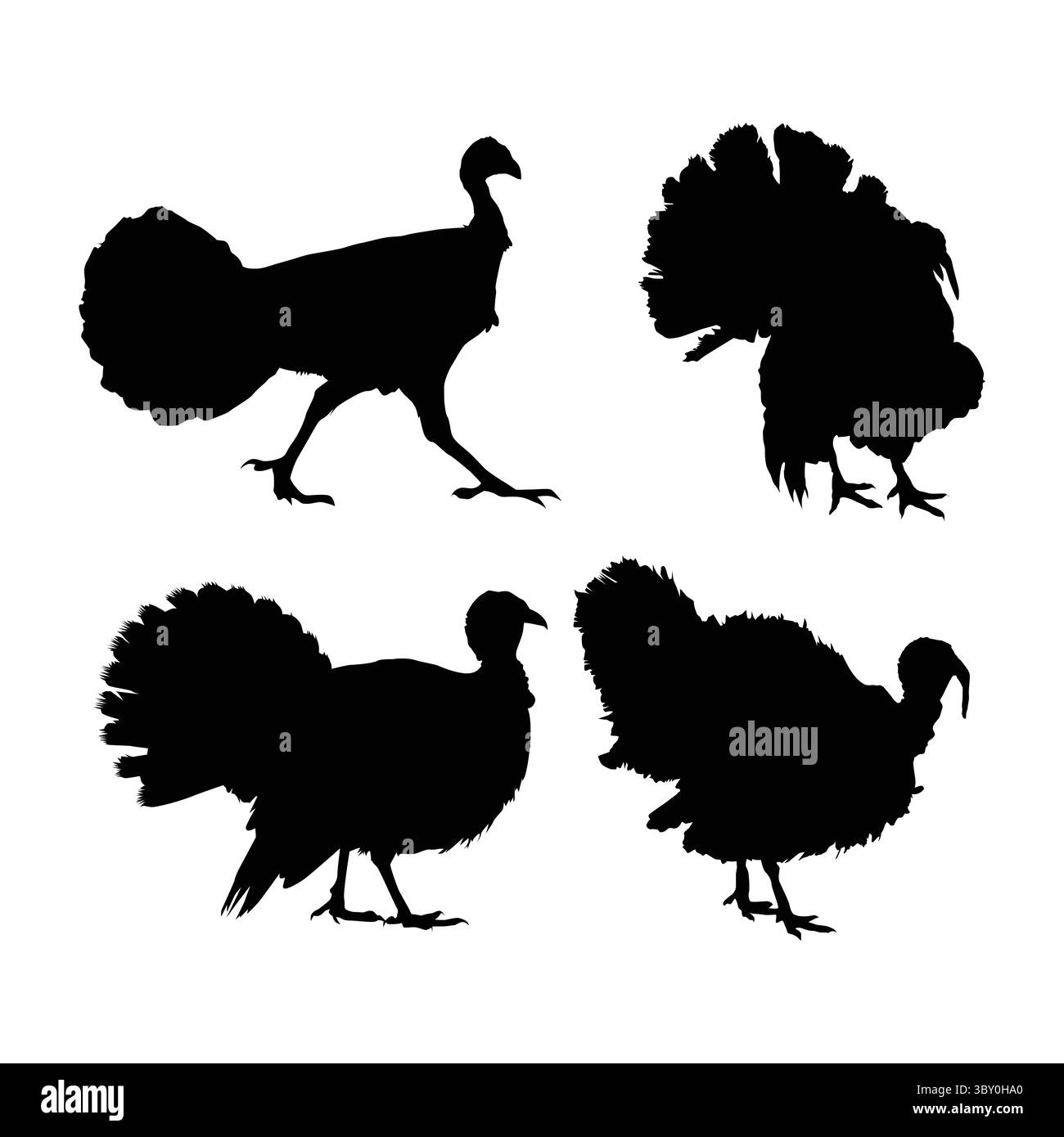 Birds nature ^3*^ 02 hi-res stock photography and images - Alamy