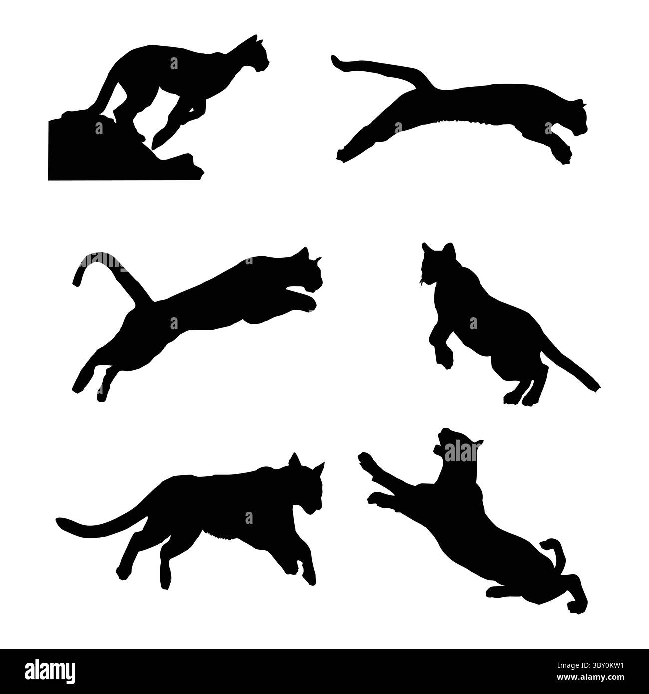 Puma on hunt Stock Vector Images - Alamy