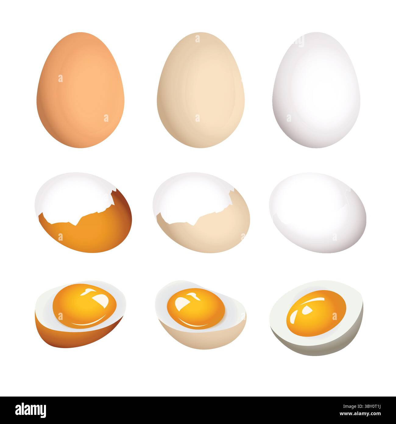 overcooked Hard-Boiled Eggs Illustration vector-based drawing on white ...