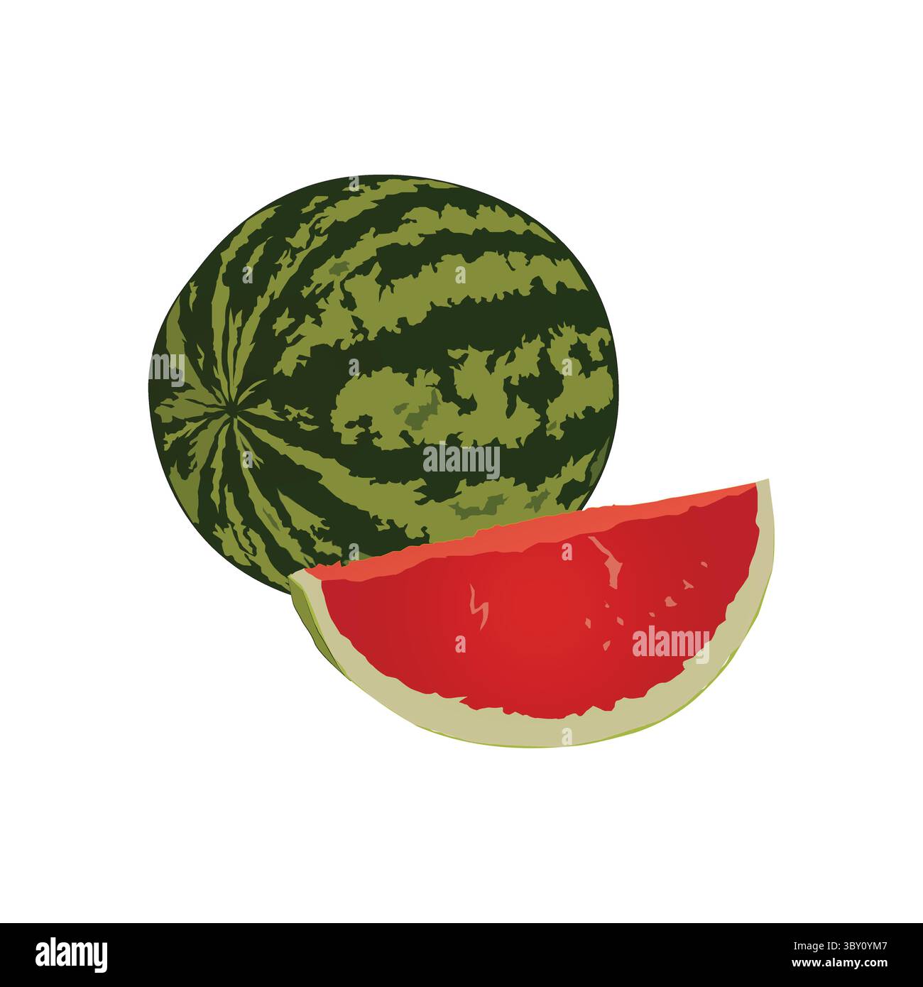Watermelon slice Stock Illustrations vector-based drawing on white ...