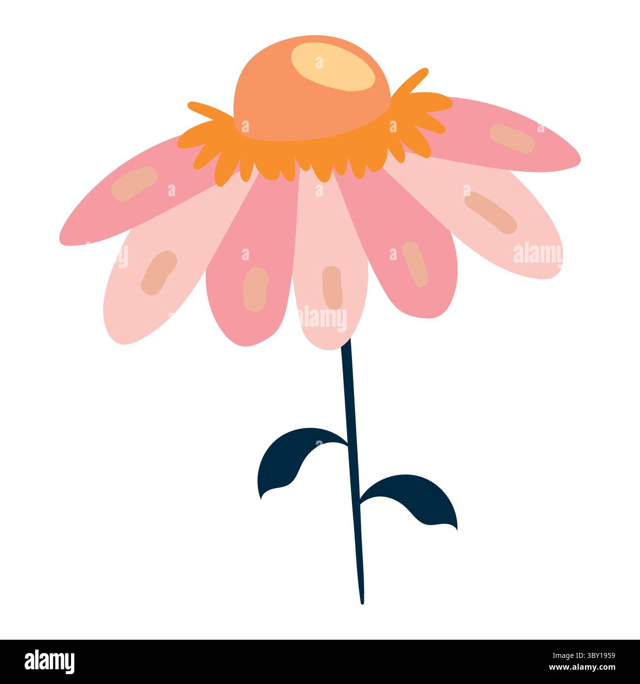 Bright Pink Coneflower With Large Petals And Orange Center. Delicate ...