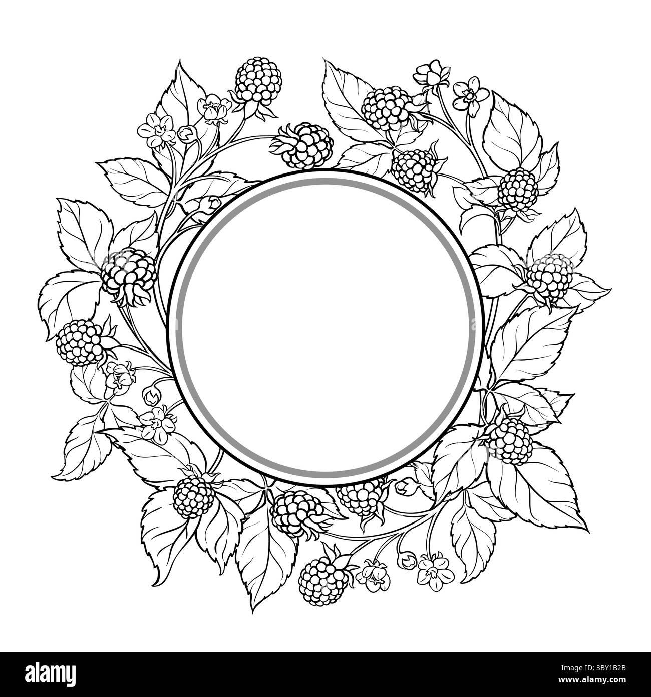 Blackberry flowers fruit Stock Vector Images - Alamy