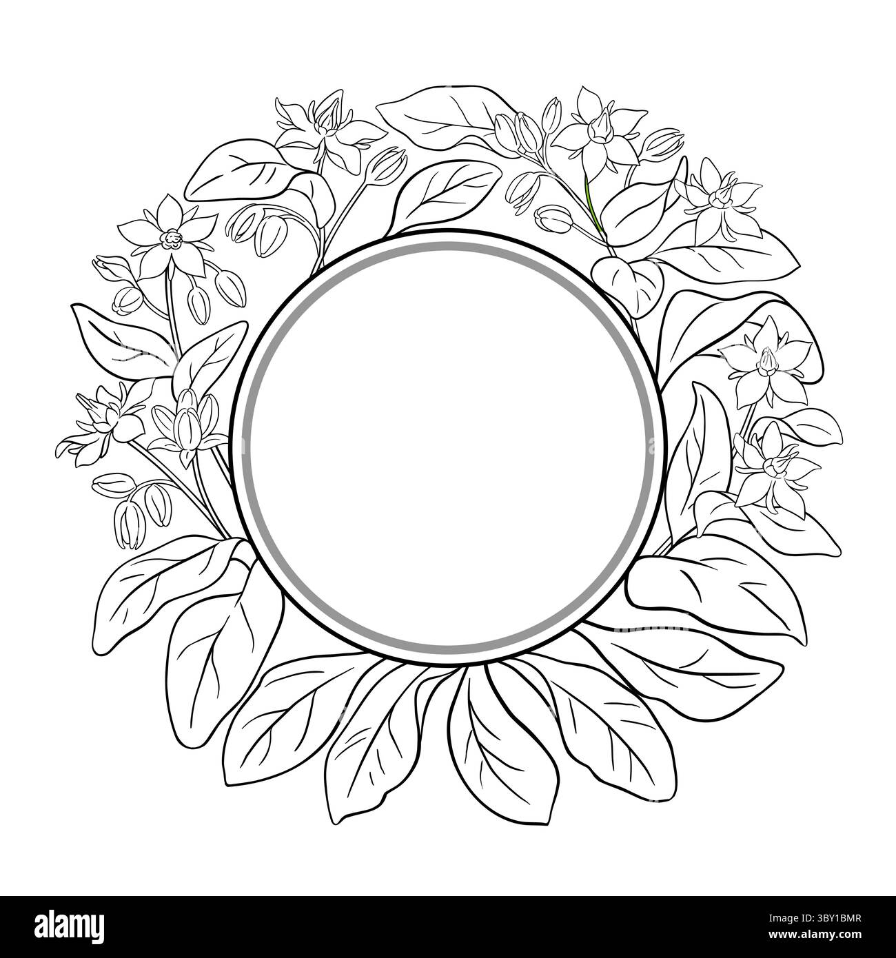 Circular frame drawing Stock Vector Images - Alamy