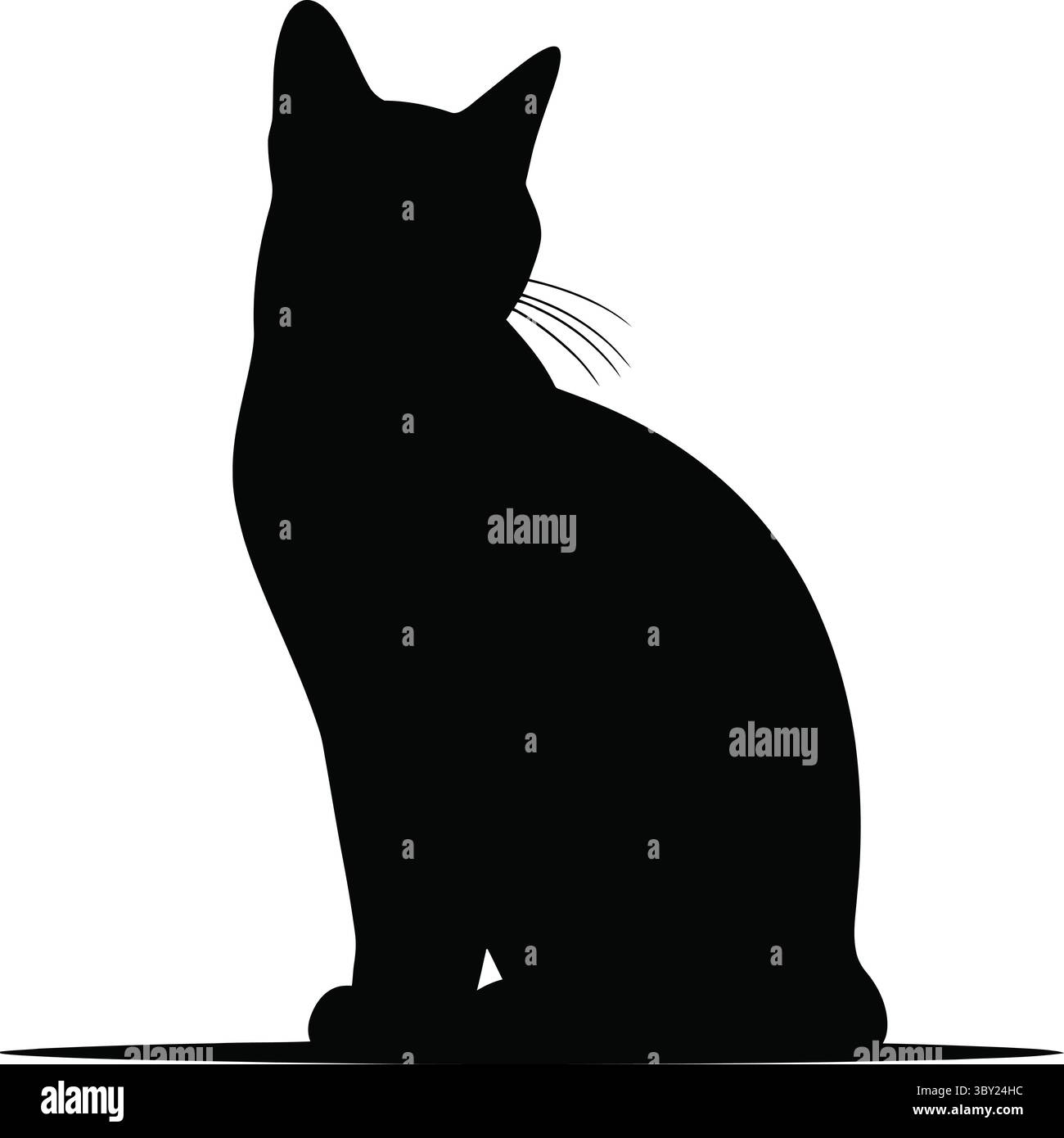 Cat visual Black and White Stock Photos & Images - Alamy