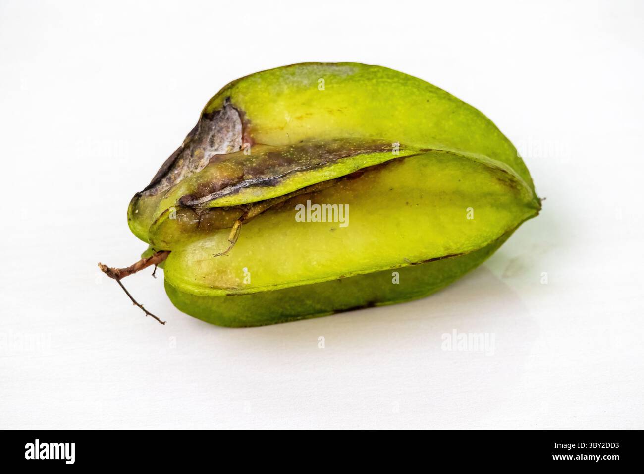 A whole green star fruit (Averrhoa carambola) on a white background ...