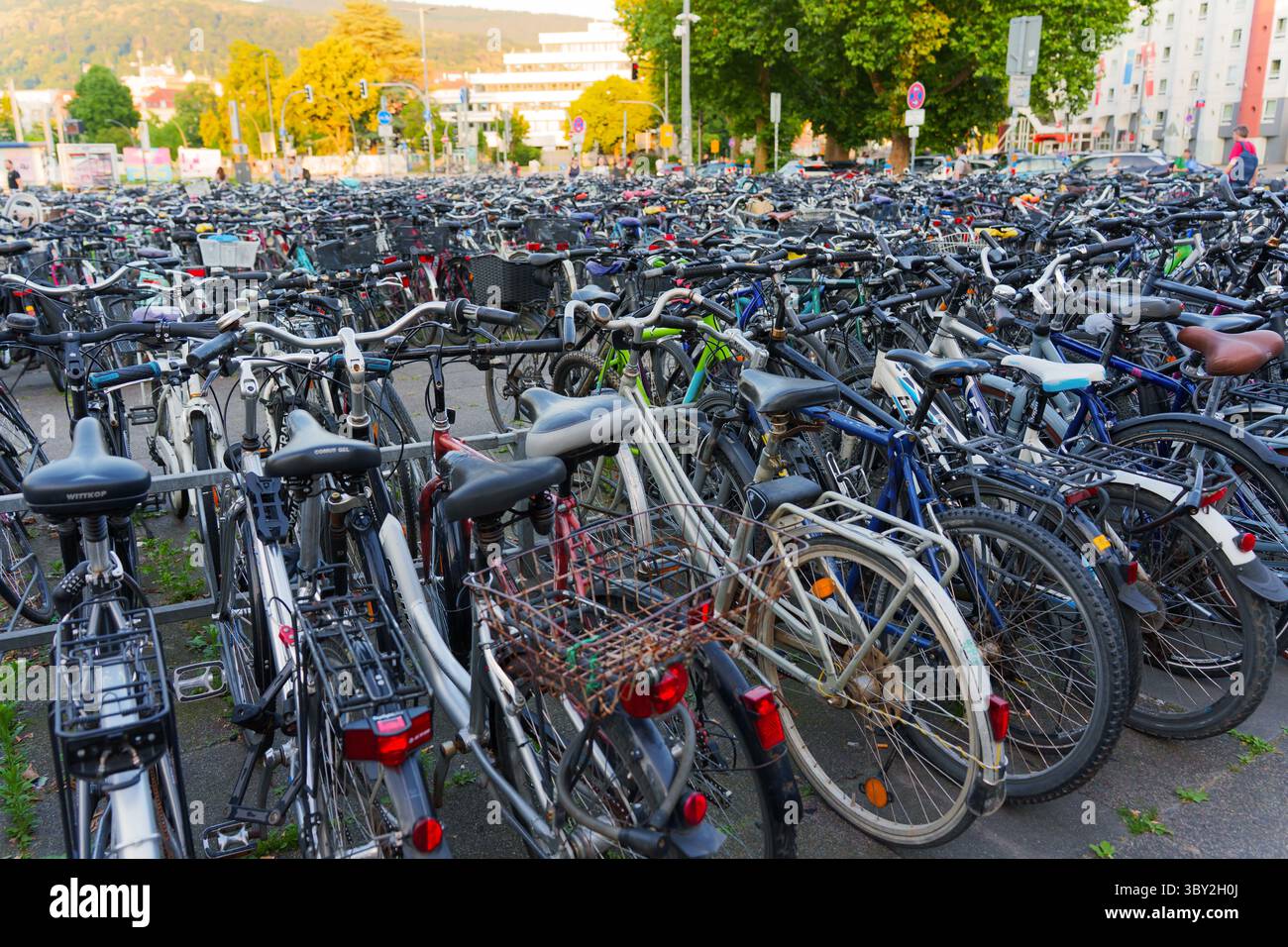 Heidelberg, Germany - June 21, 2025: Crowded bicycle parking area with ...