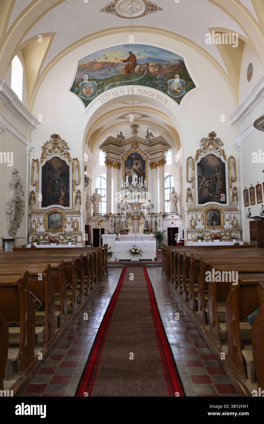 Roman Catholic Franciscan church of St Francis, beautiful Gothic church ...