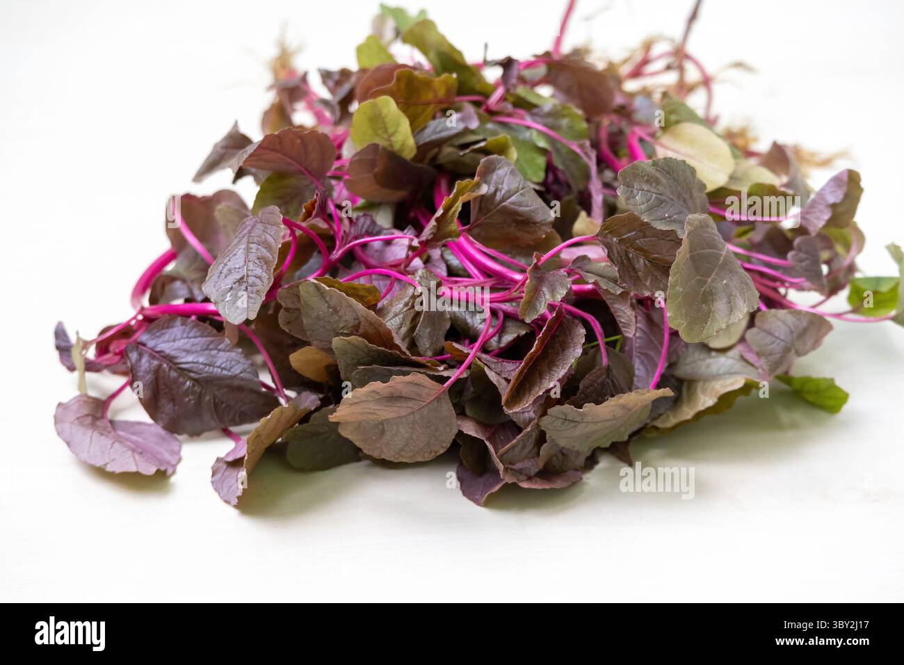 Red spinach bunch, Amaranthus dubius close-up, isolated on white. Fresh ...