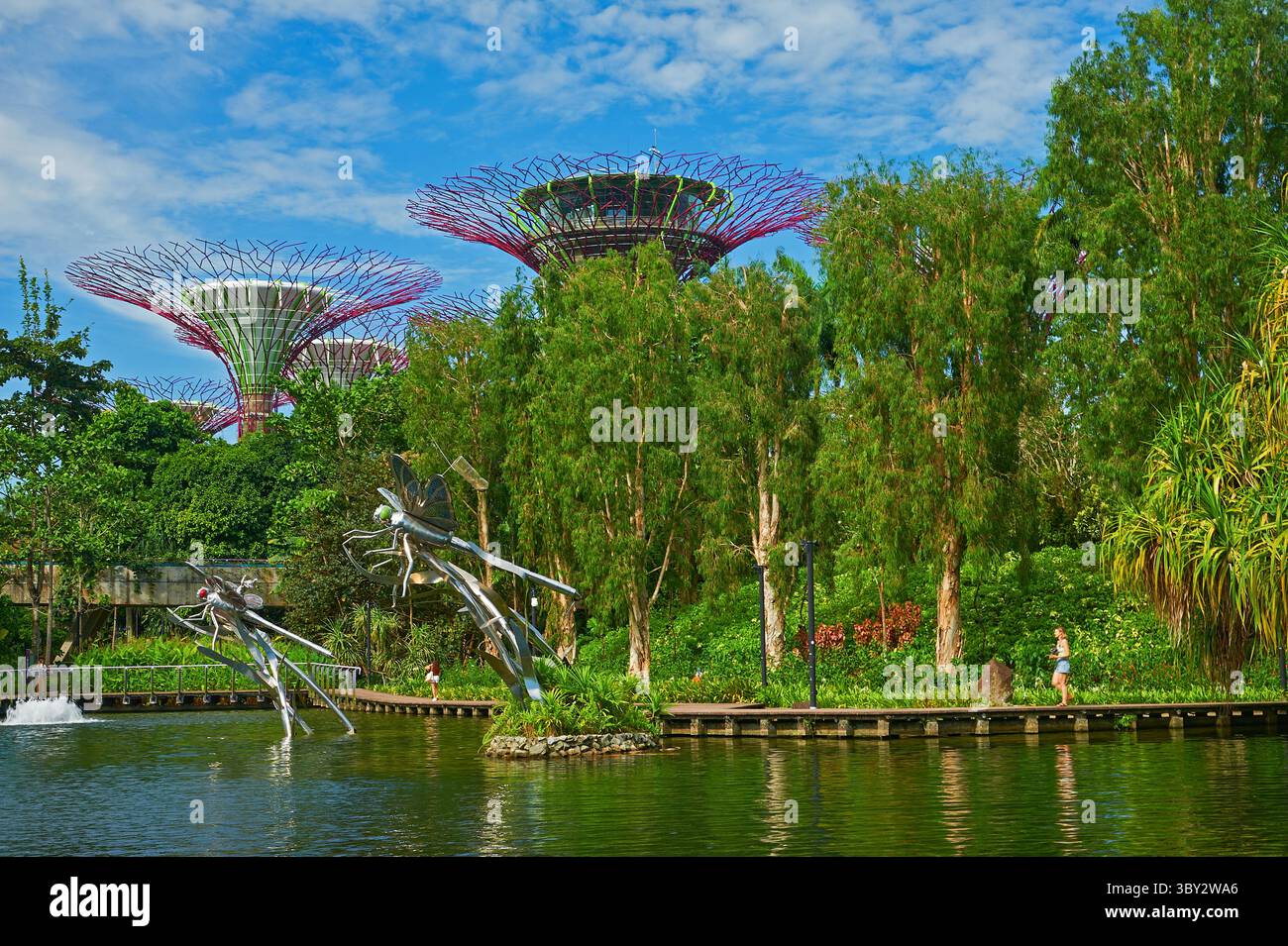 Singapore super trees in the Gardens by the Bay Stock Photo - Alamy