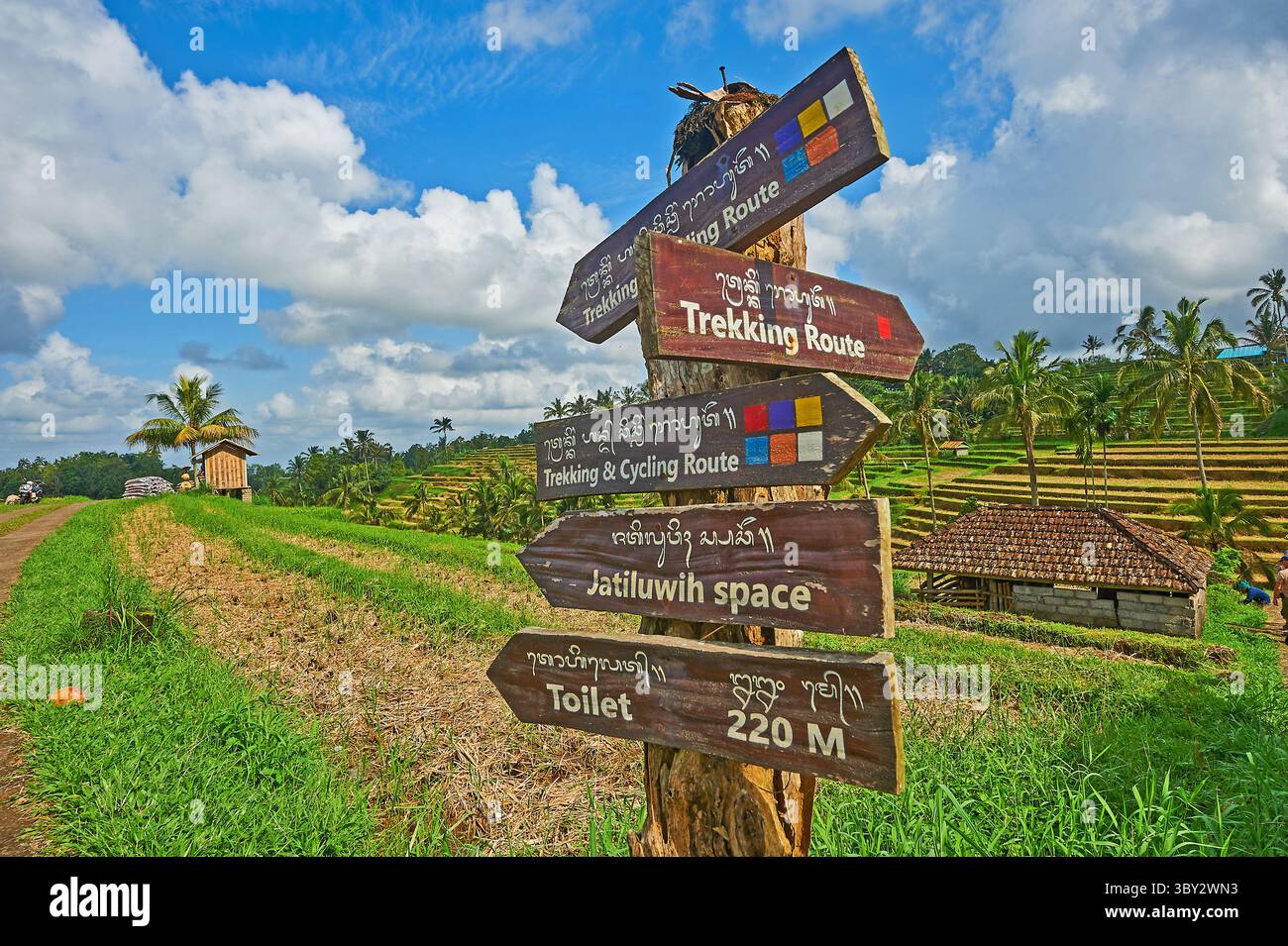 Timber directional signs within the Unesco world heritage rice fields ...