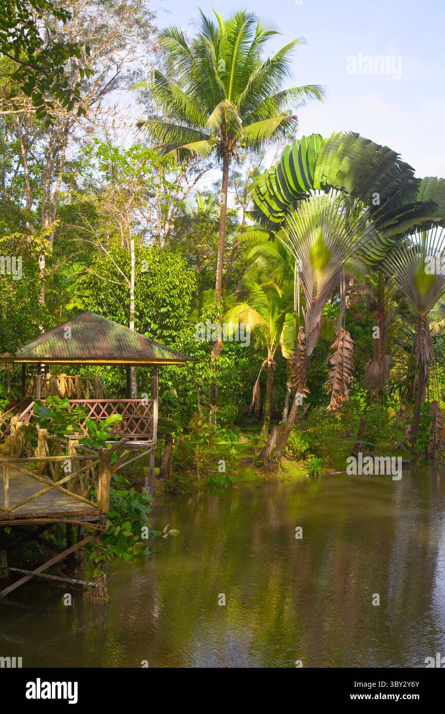Sepilok sabah hi-res stock photography and images - Alamy