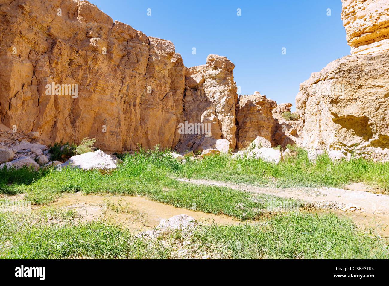 Canyon in the Oued River Valley in the mountain oasis of Tamerza ...