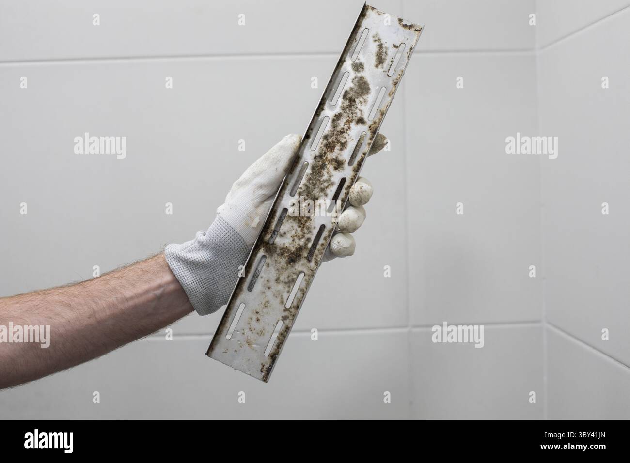 Stained Mold Drain in Plumber Hand Stock Photo - Alamy
