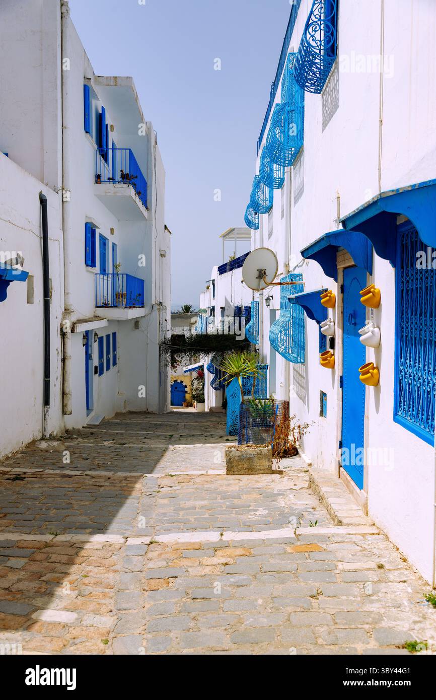 Alley and white cube houses with blue window grilles in the (Medina ...