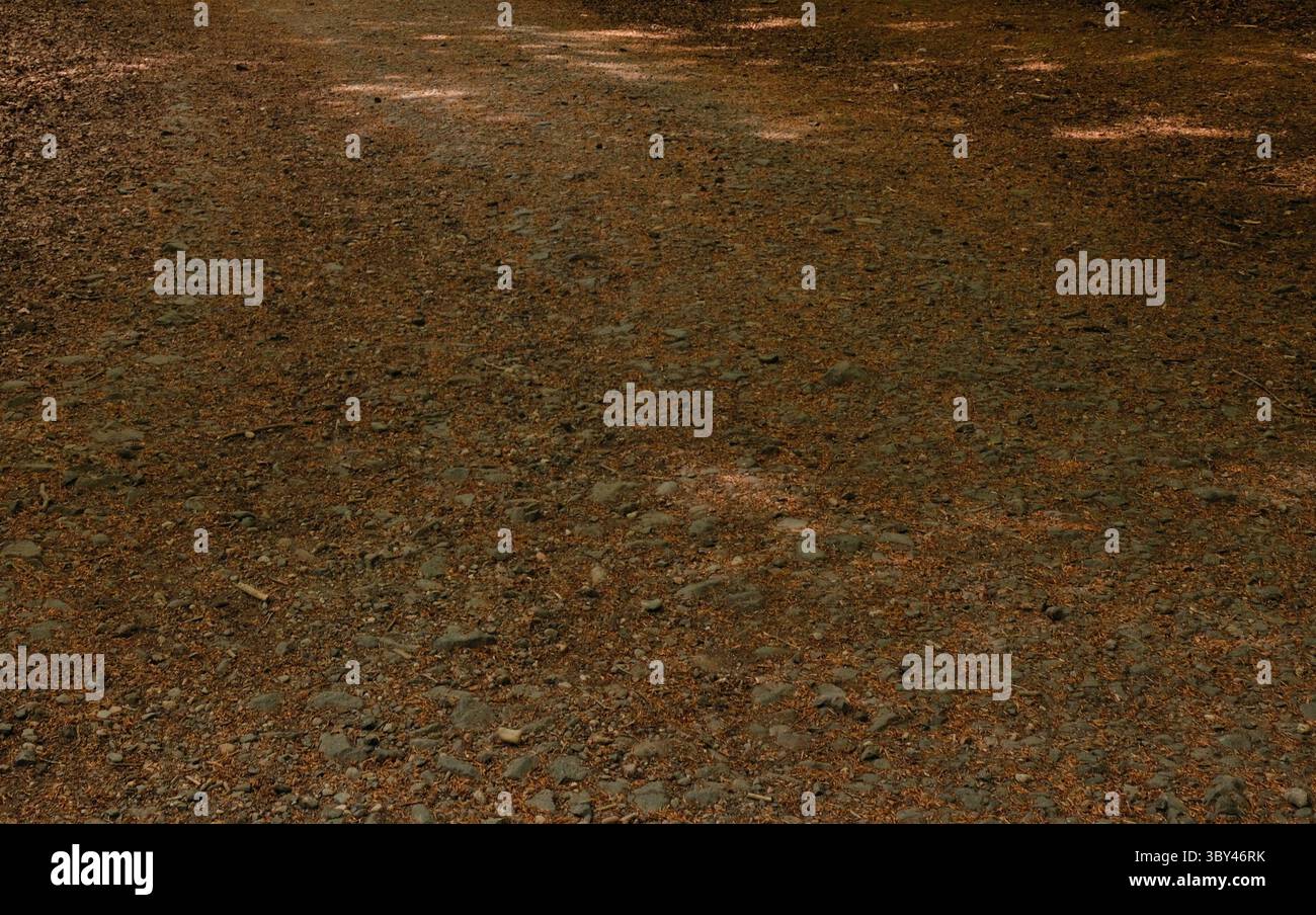 Abstract of gravel path Stock Photo - Alamy