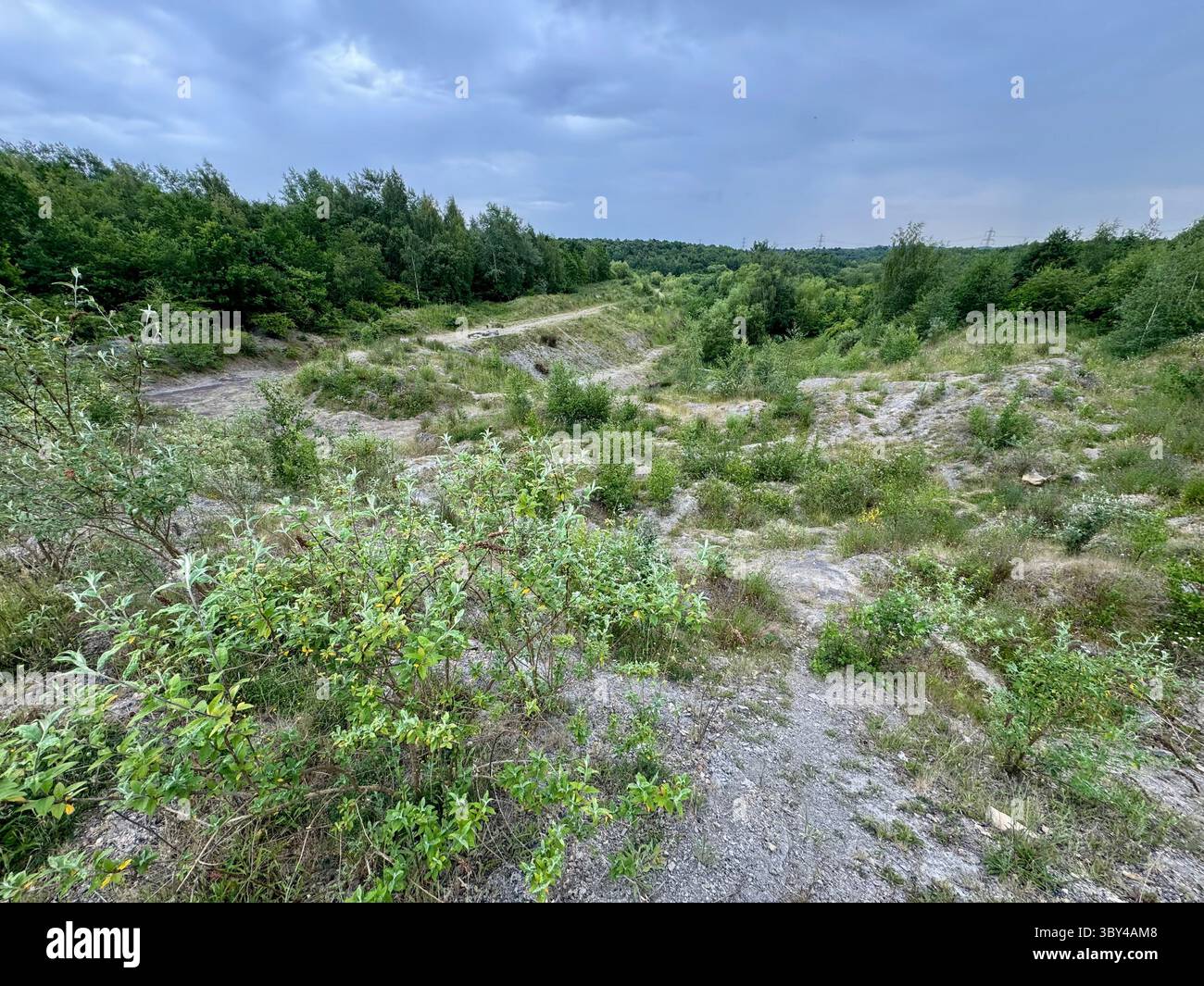 Scrubland at Rother Valley Country Park on the site of the old ...