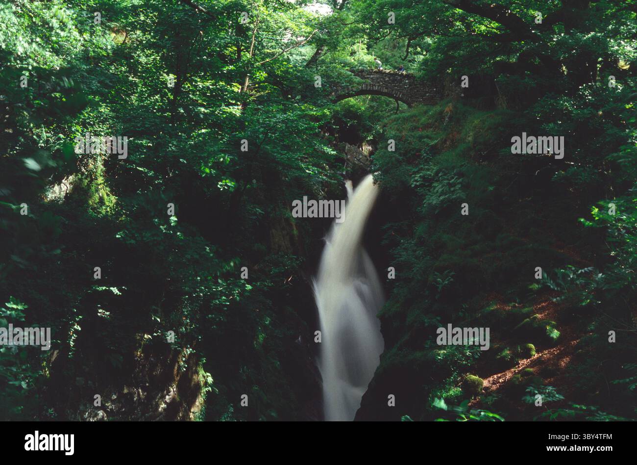 Waterfall woods lake district hi-res stock photography and images - Alamy