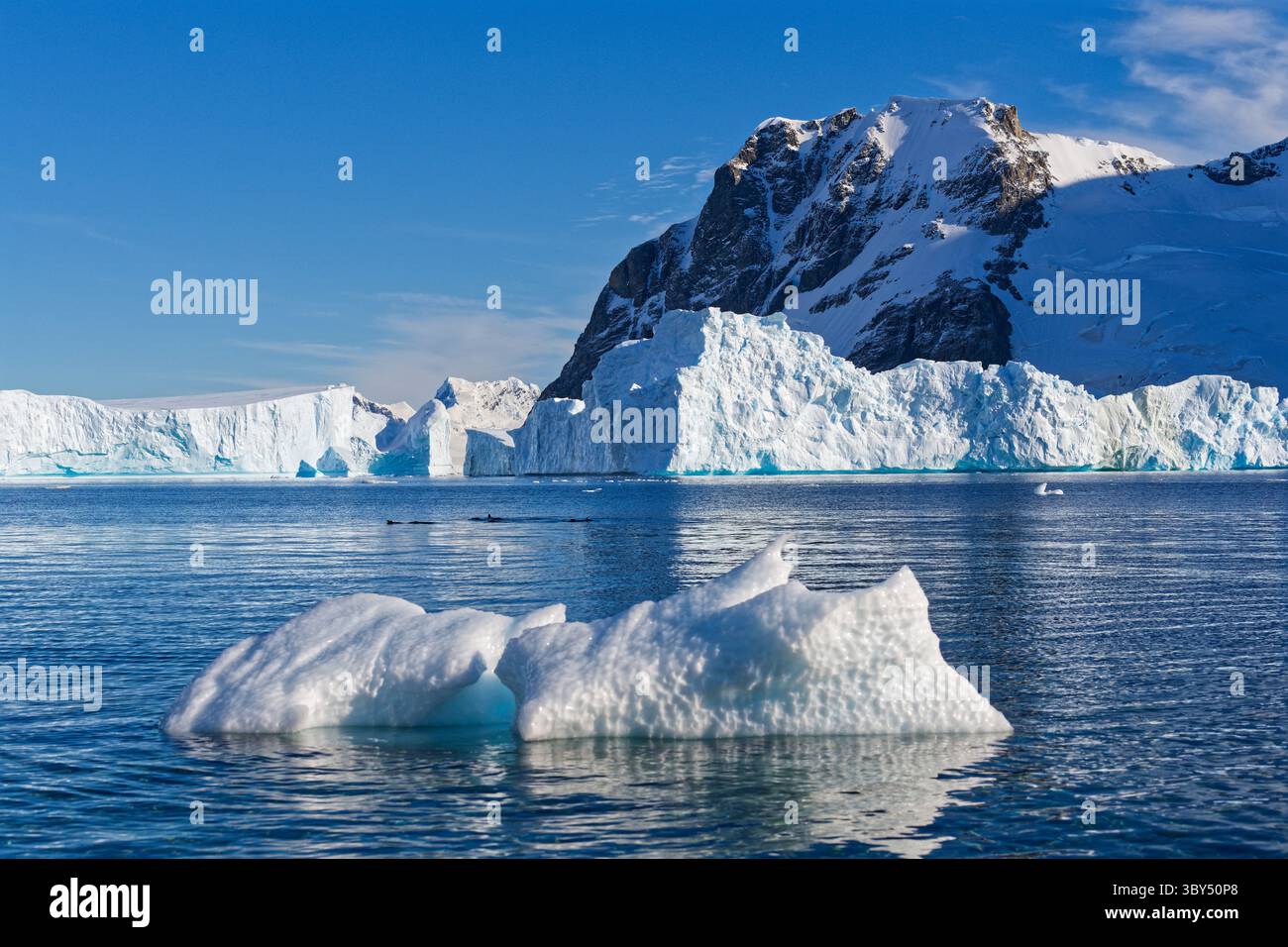 Landscape in antarctica danco hi-res stock photography and images - Alamy