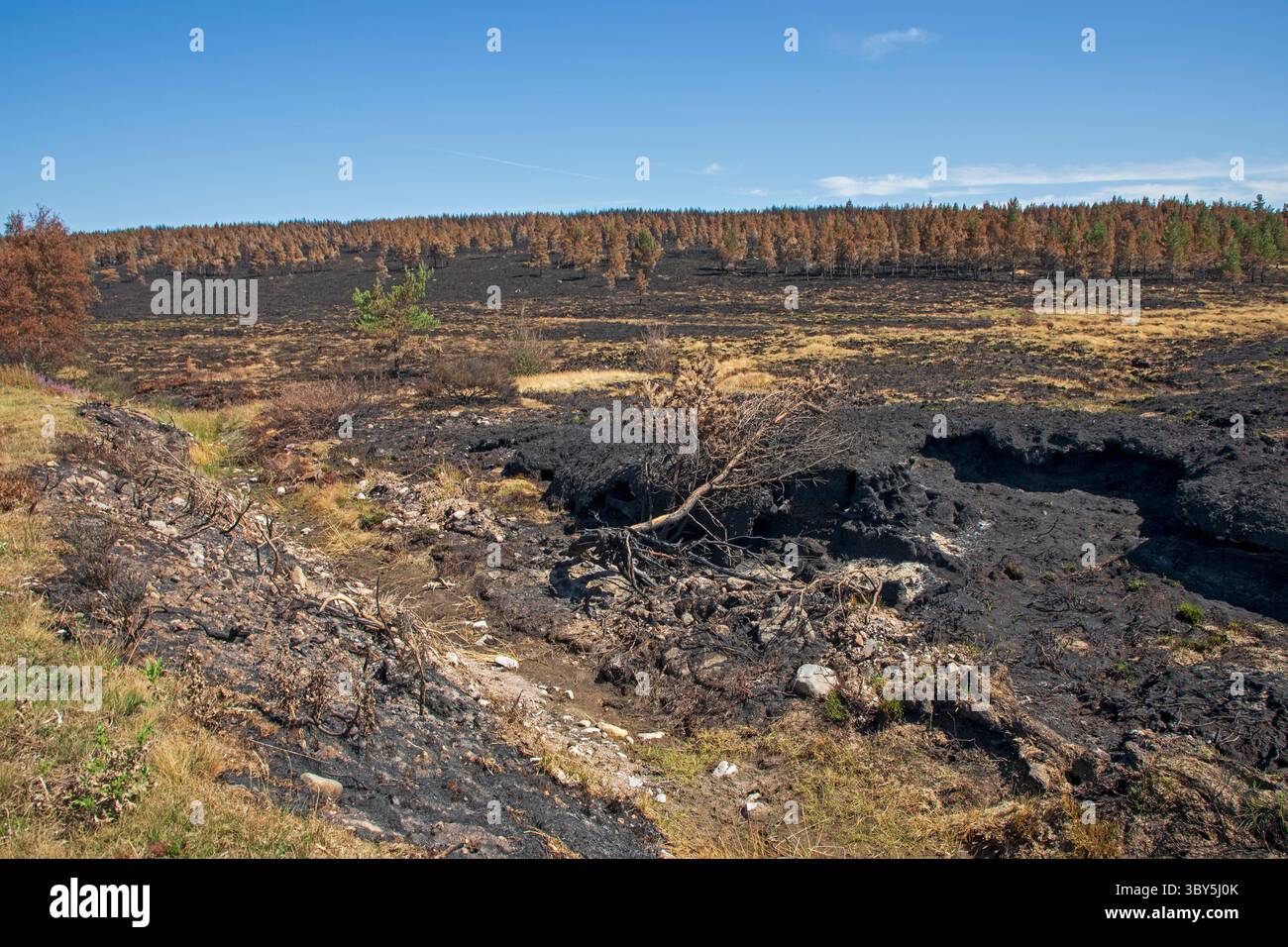 Uk wildfire 2025 hi-res stock photography and images - Alamy