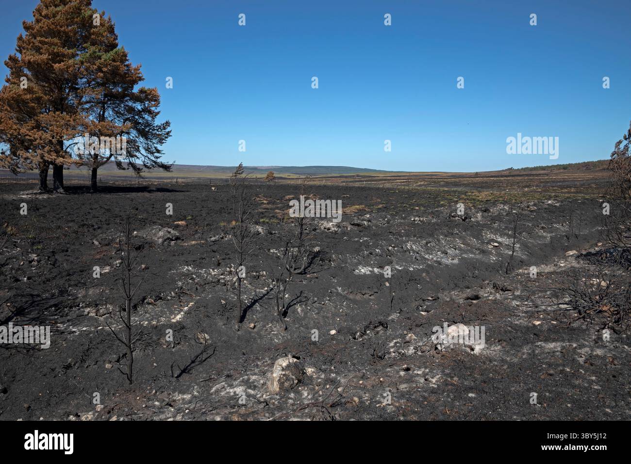 Uk wildfire 2025 hi-res stock photography and images - Alamy
