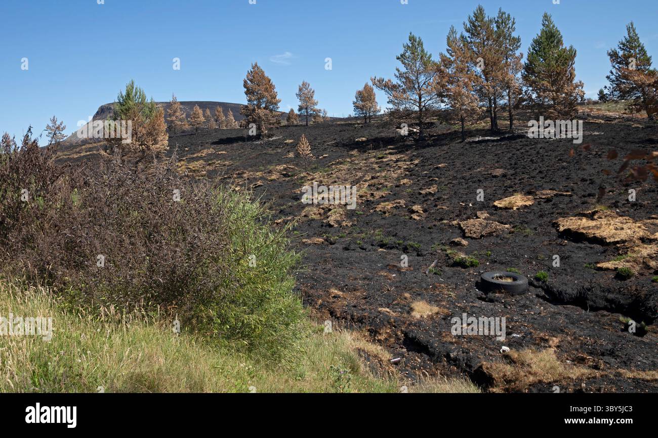Uk wildfire 2025 hi-res stock photography and images - Alamy