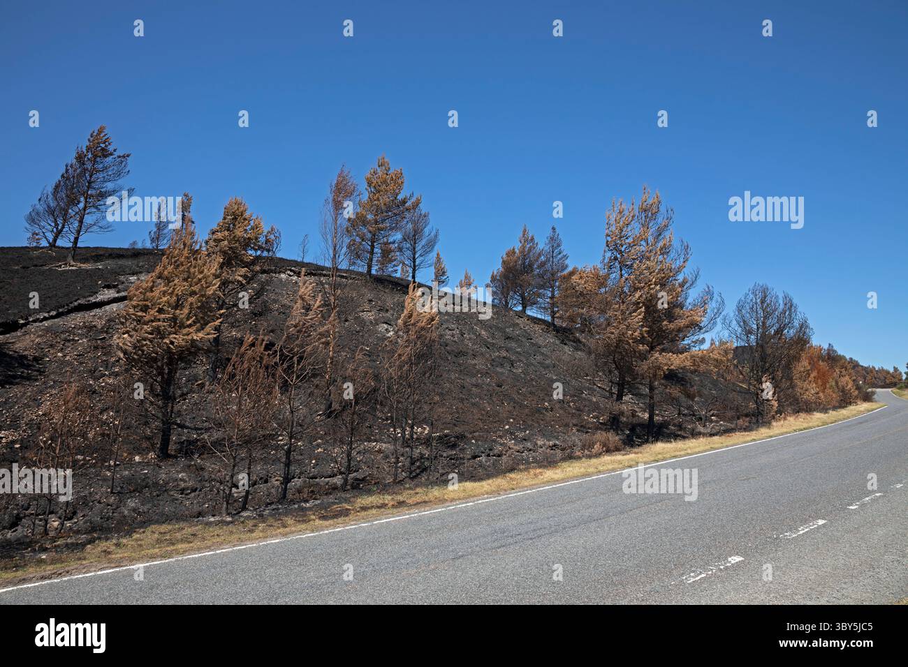 Uk wildfire 2025 hi-res stock photography and images - Alamy