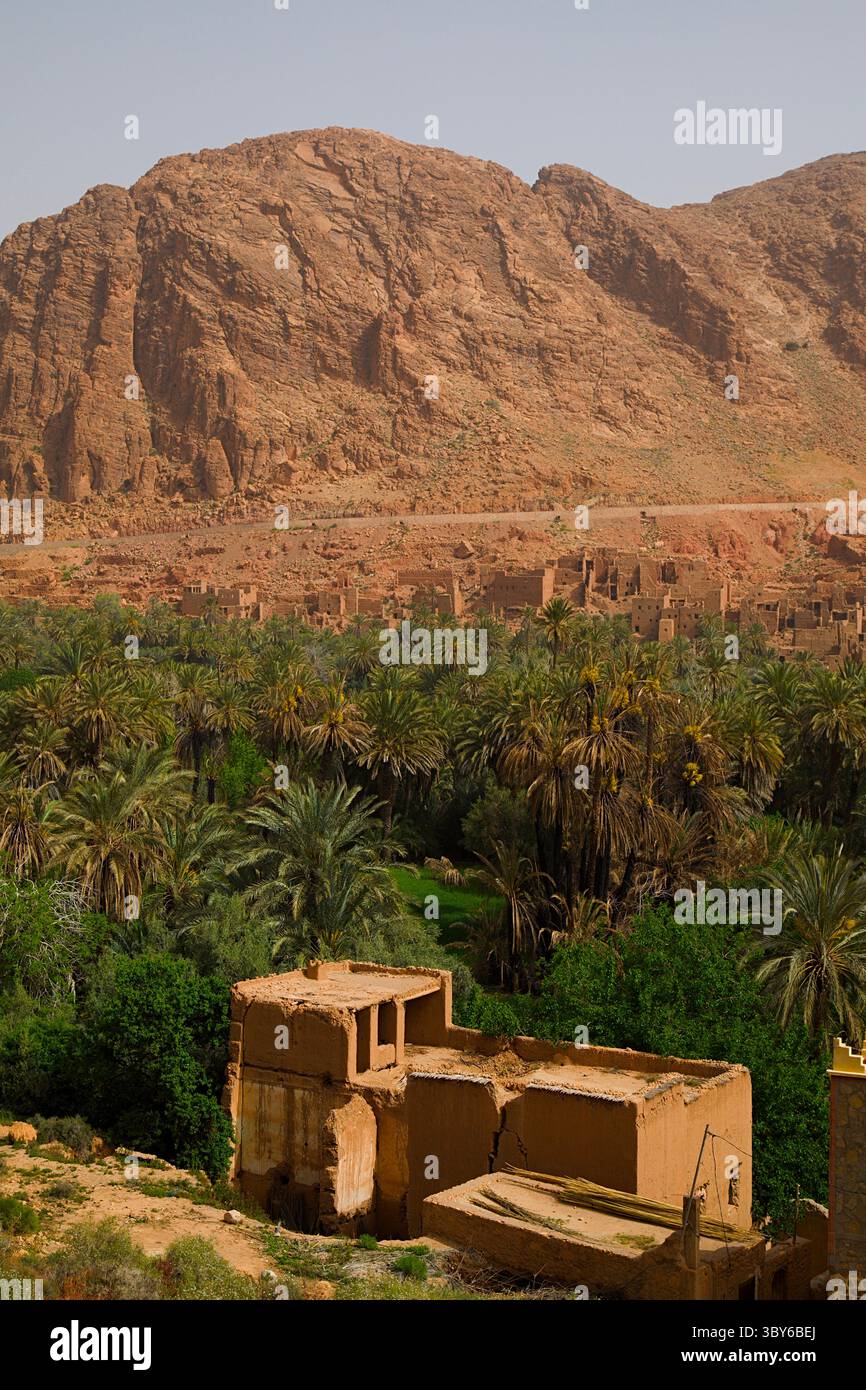Morocco, Todra Gorges, landscape, scenery Stock Photo - Alamy