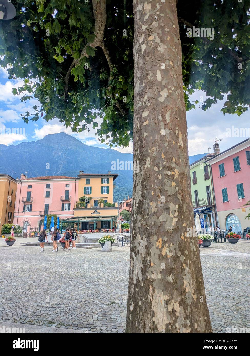 Plane tree in front of colourful buildings of Colico lake como Stock ...