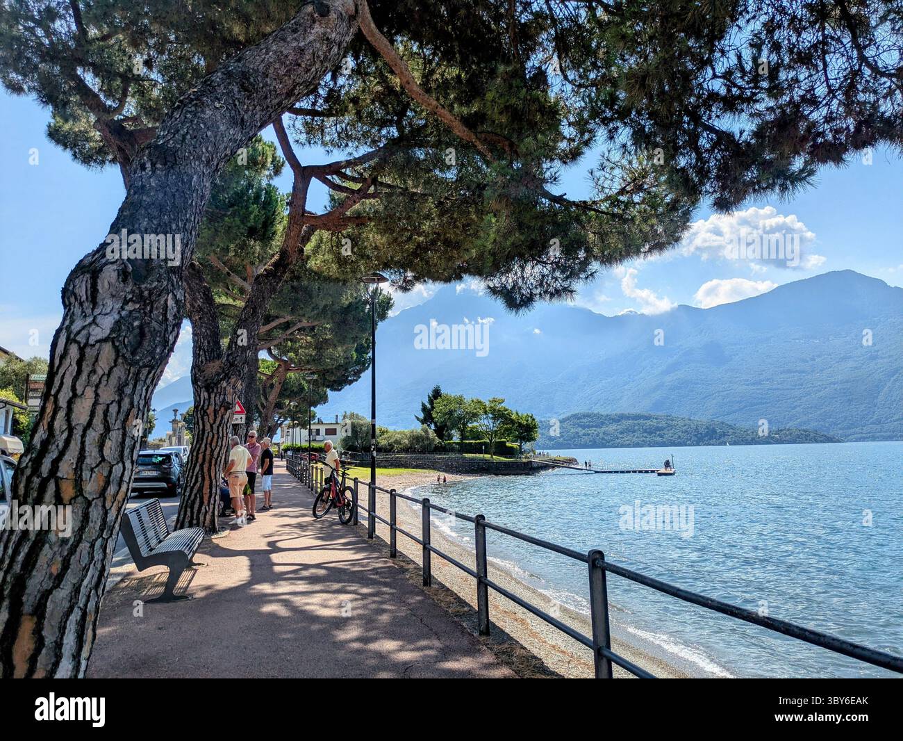 Tree lined street in Domaso lake como Stock Photo - Alamy