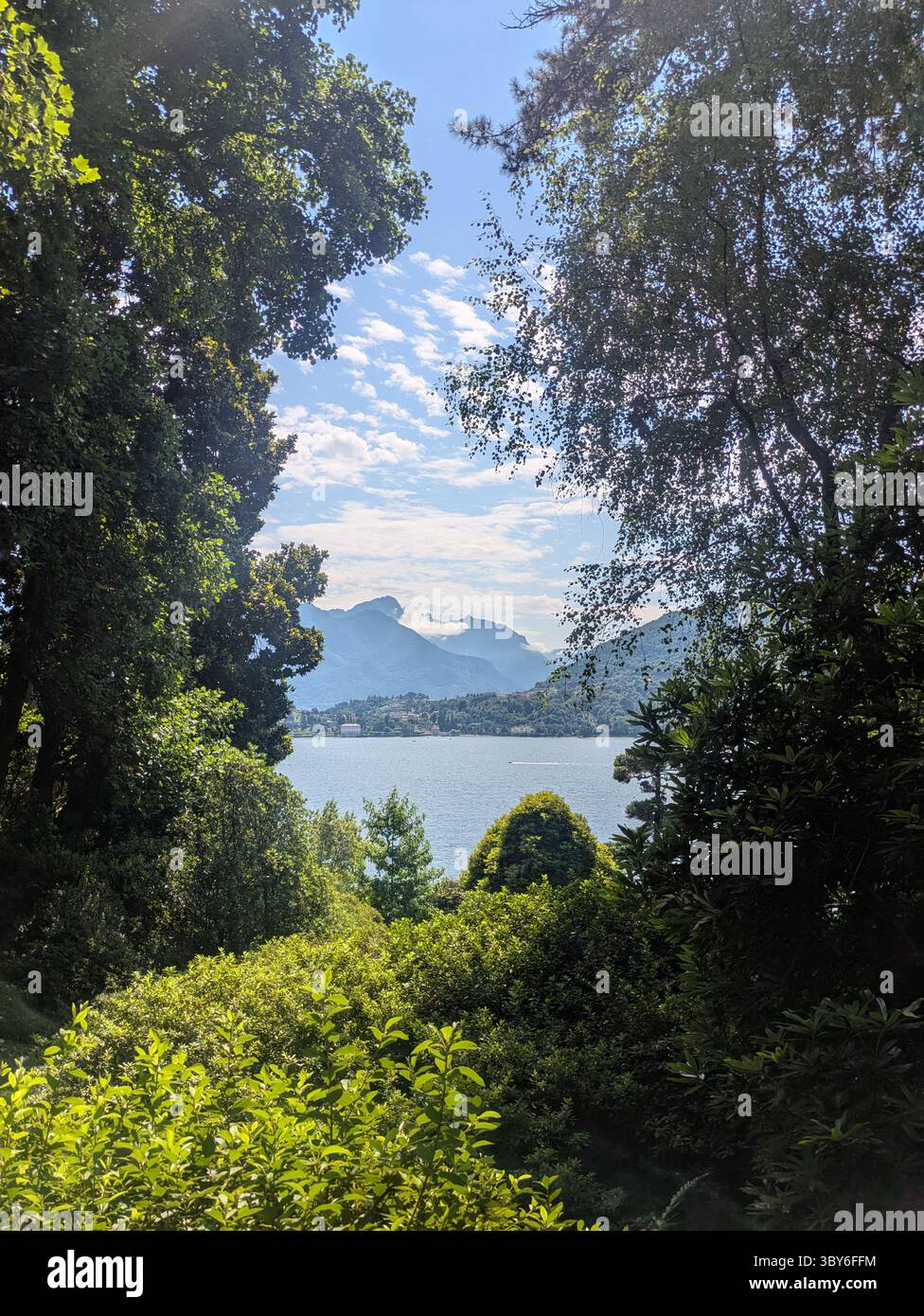 Plants and trees at Villa Carlotta Lake Como Stock Photo - Alamy